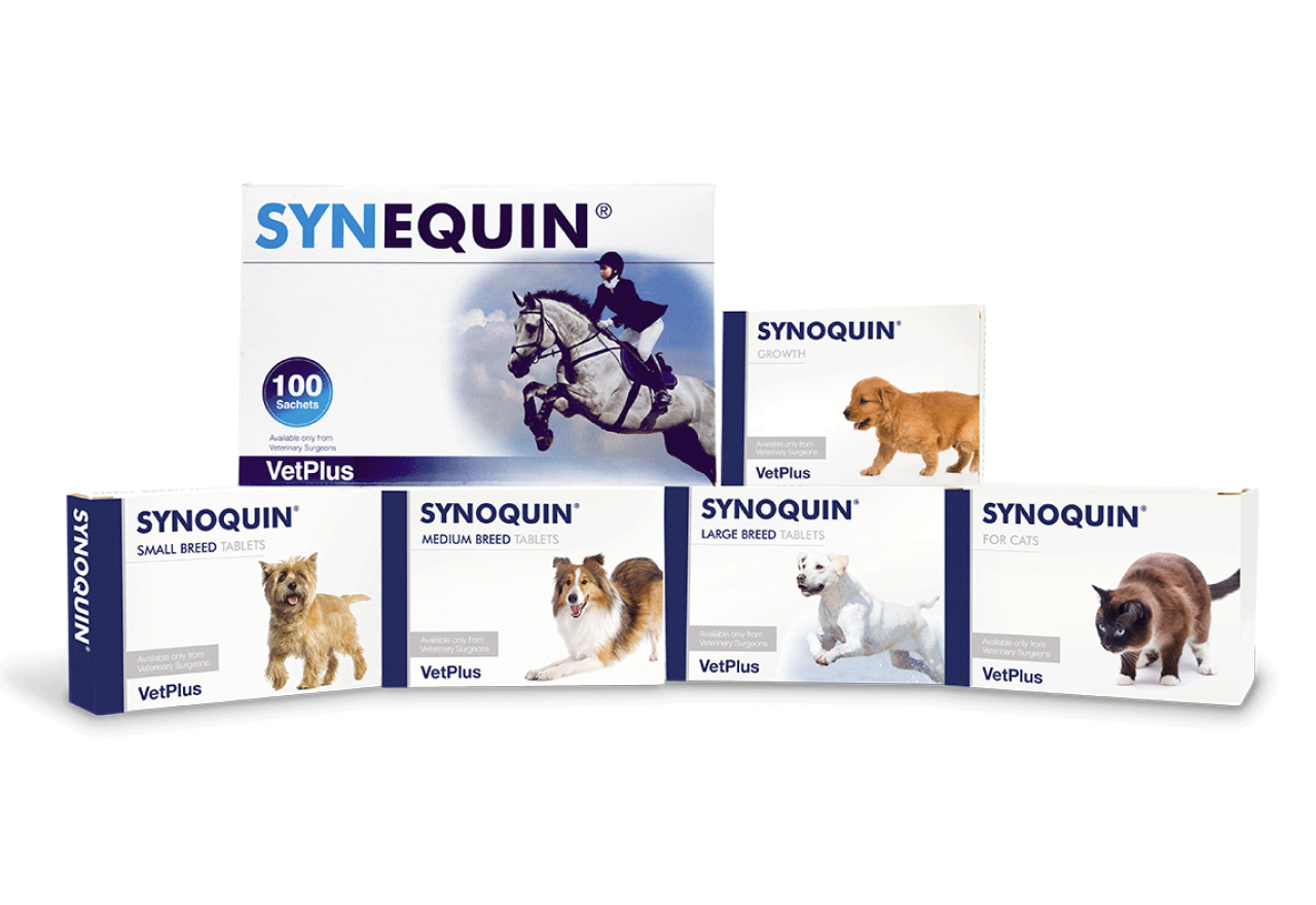 Home - VetPlus