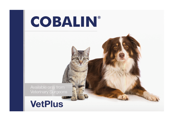 CANINE CYSTAID® - VetPlus