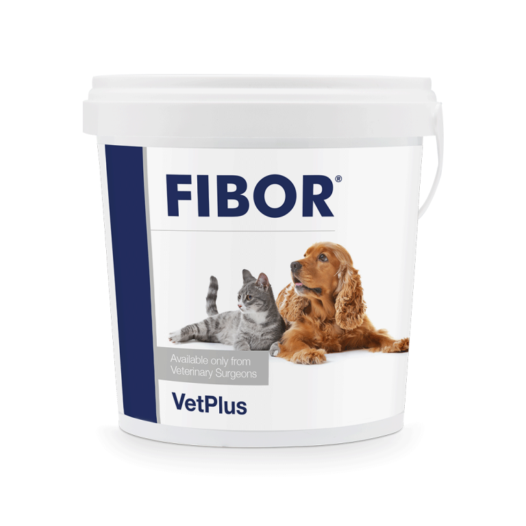 PROMAX® LARGE BREED - VetPlus