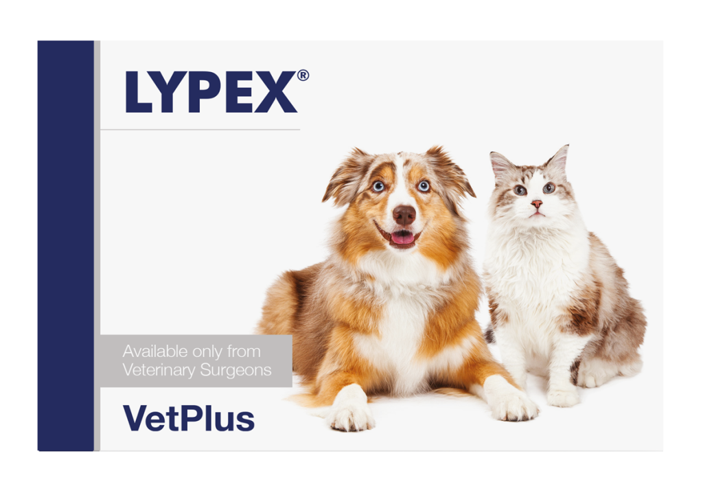 VETSALVE® - VetPlus