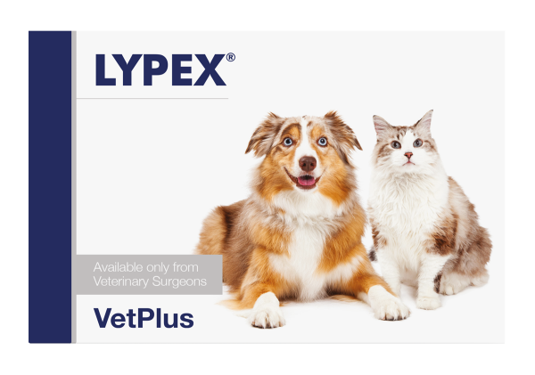 CANINE CYSTAID® - VetPlus
