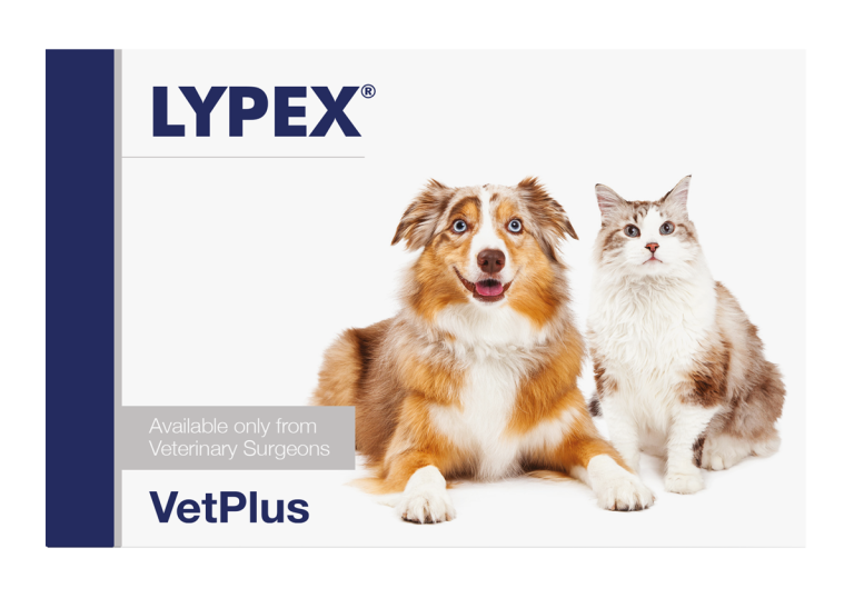 APRYLIC® - VetPlus