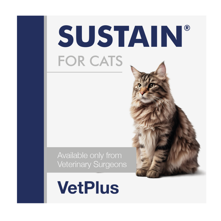 VETSALVE® - VetPlus