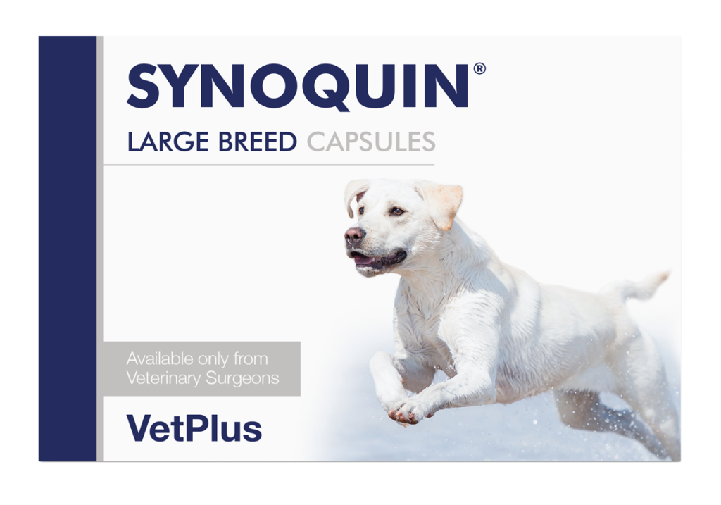 GOMEGA® - VetPlus