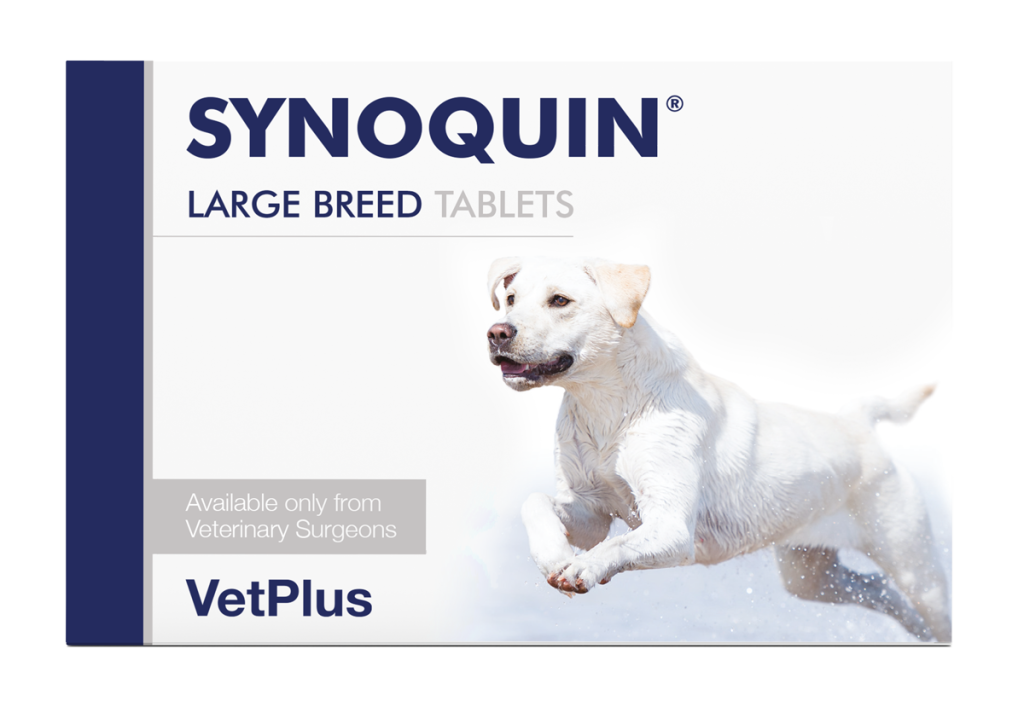 PROMAX® LARGE BREED - VetPlus