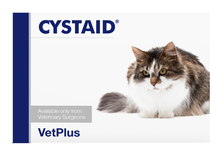 VETSALVE® - VetPlus