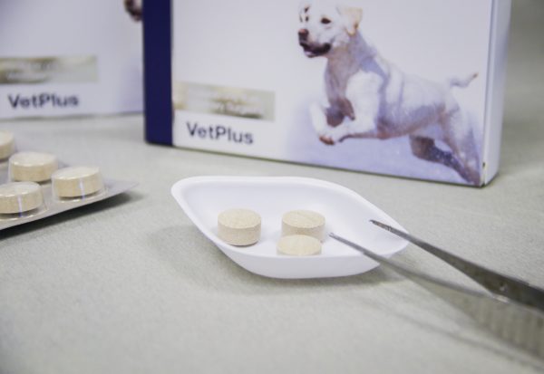 About Us - VetPlus