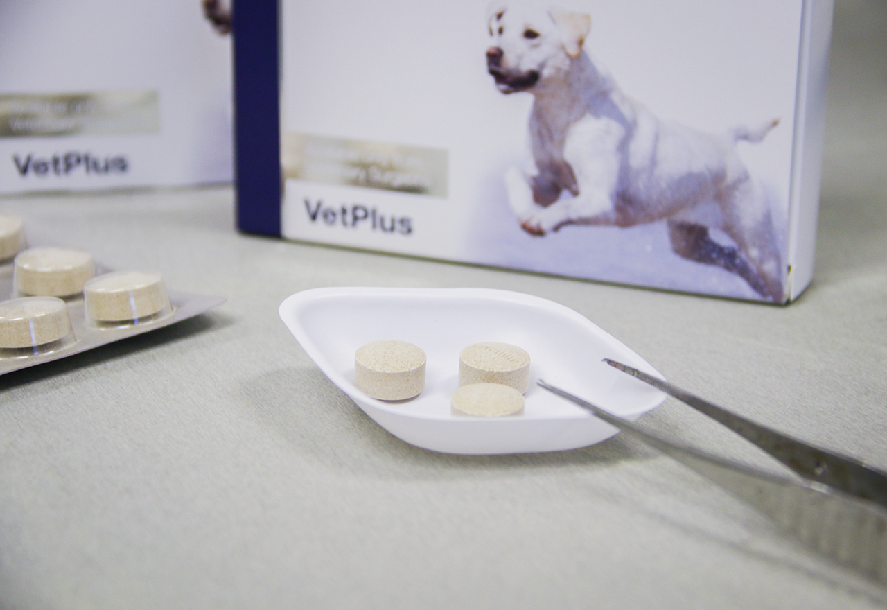 About Us - VetPlus
