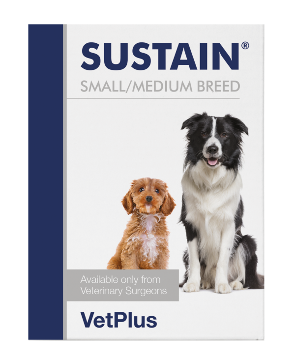 PROMAX® SMALL BREED - VetPlus