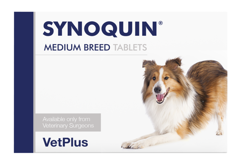 SYNOQUIN® MEDIUM BREED CAPSULES - VetPlus