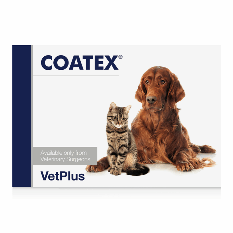 VETSALVE® - VetPlus