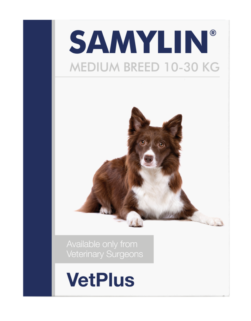 SAMYLIN® LARGE BREED SACHETS - VetPlus