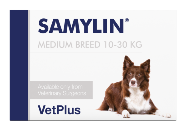 SAMYLIN® LARGE BREED SACHETS - VetPlus