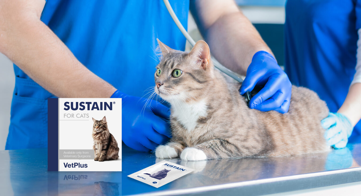 Home - VetPlus