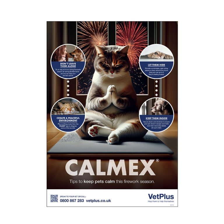 VETSALVE® Client Leaflet - VetPlus