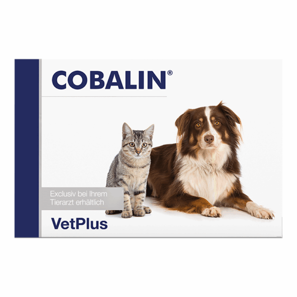 FIBOR® - vetplus