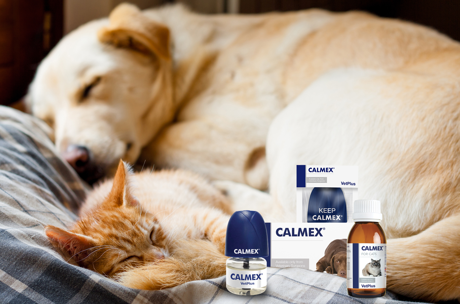 Home - VetPlus