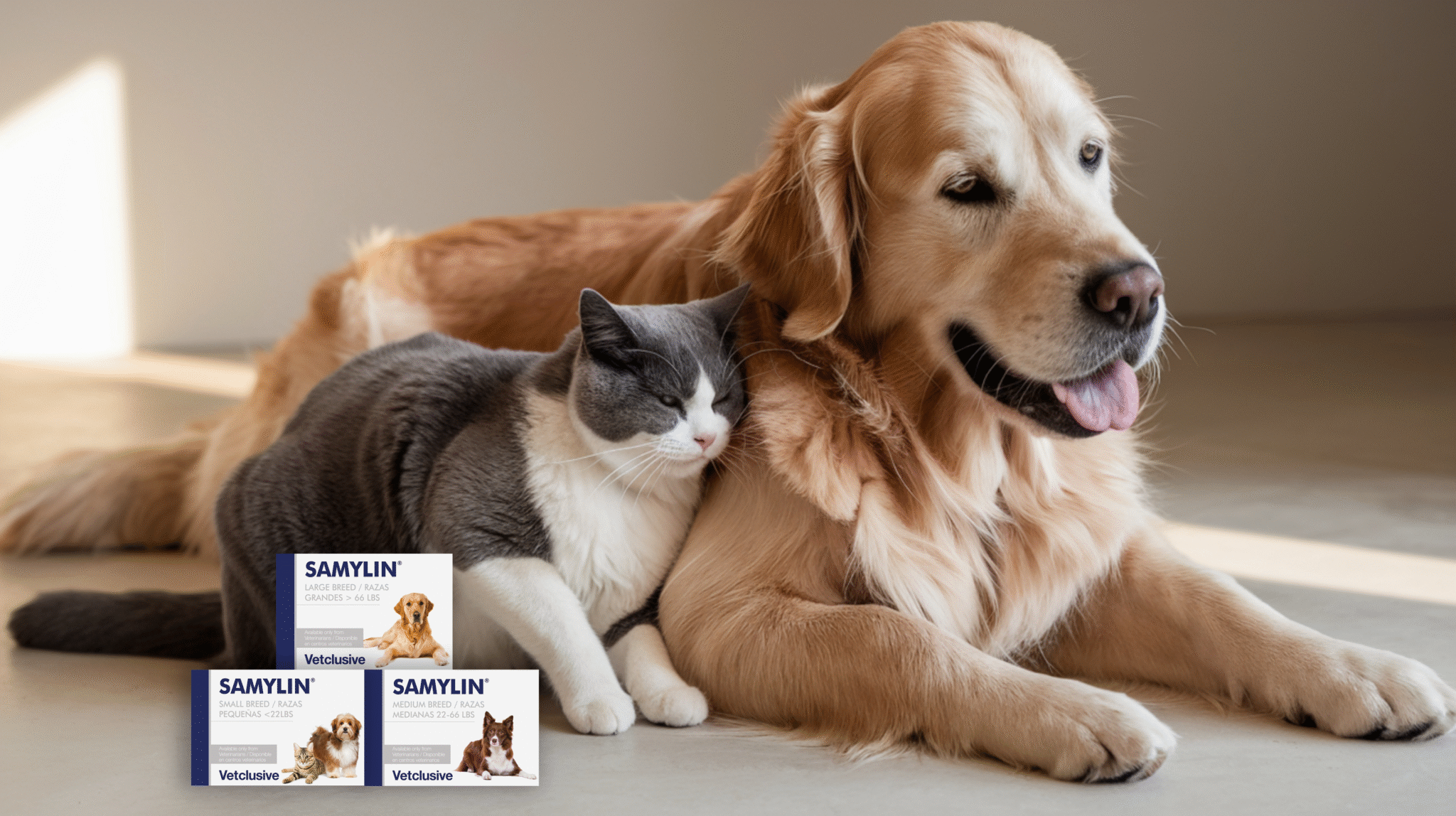 Home - vetplus